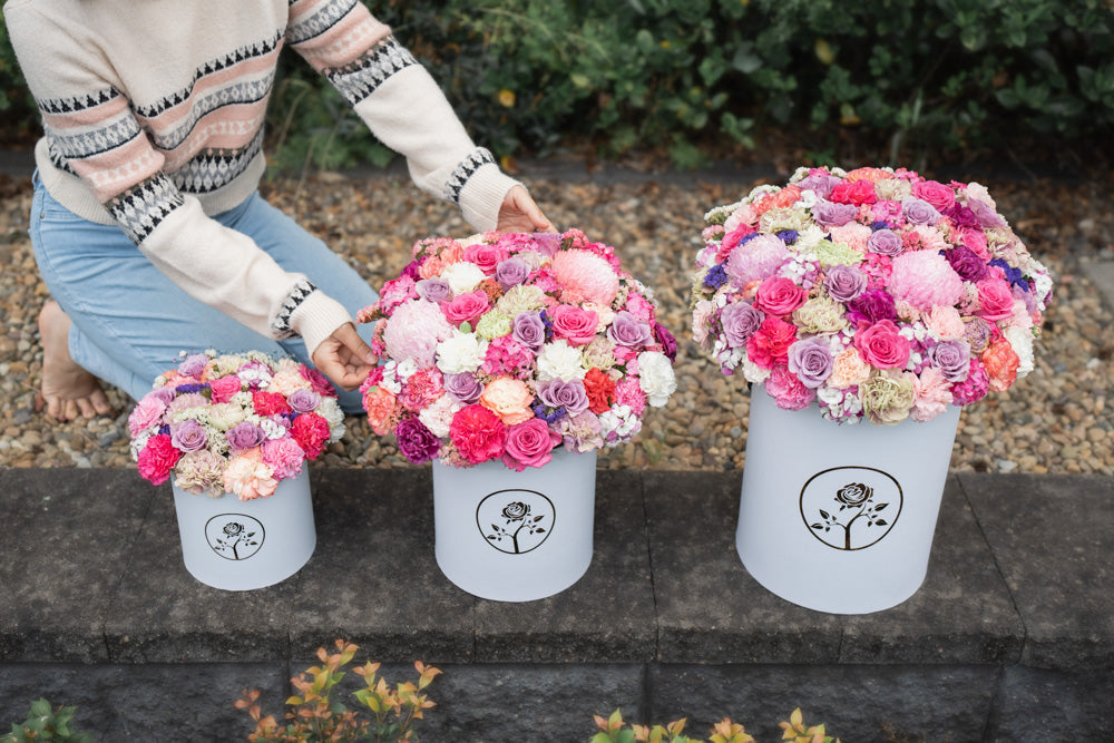 Collections – Office Flower