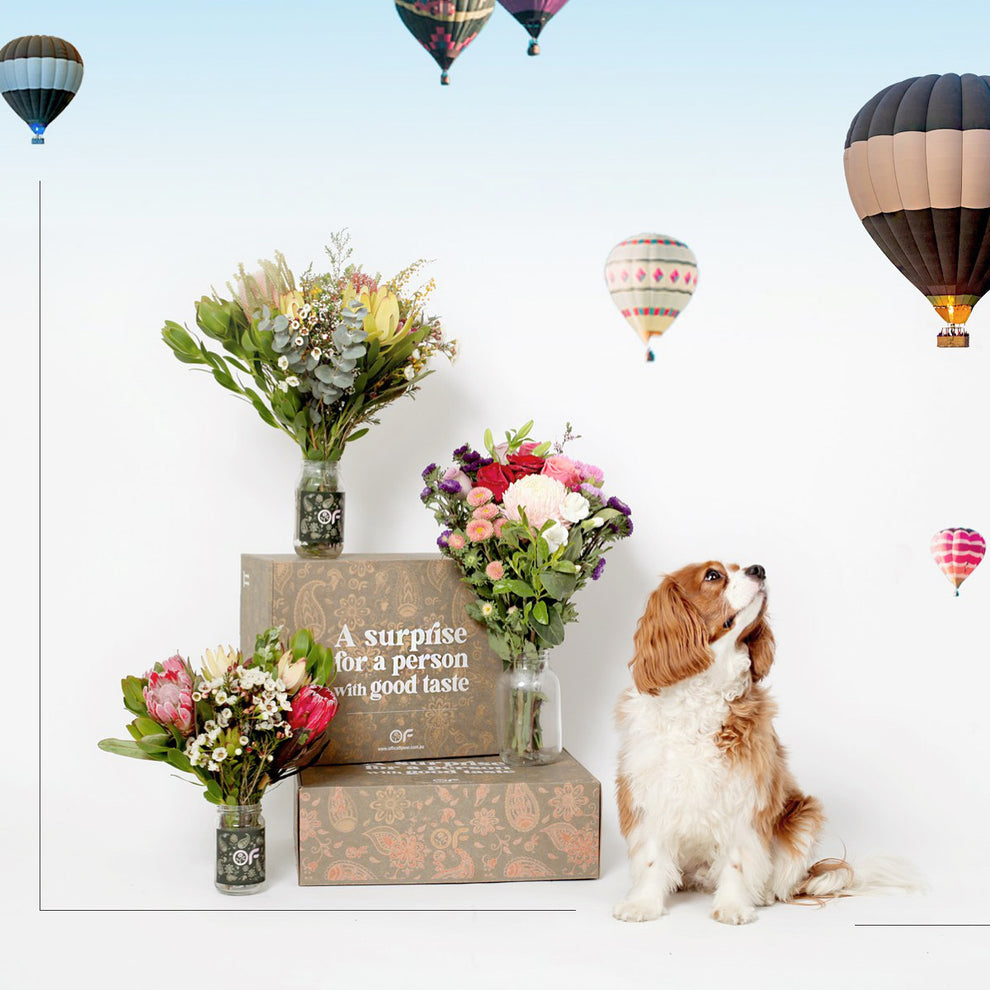 Native Posy Jar Gift Box | OfficeFlower - Office Flower