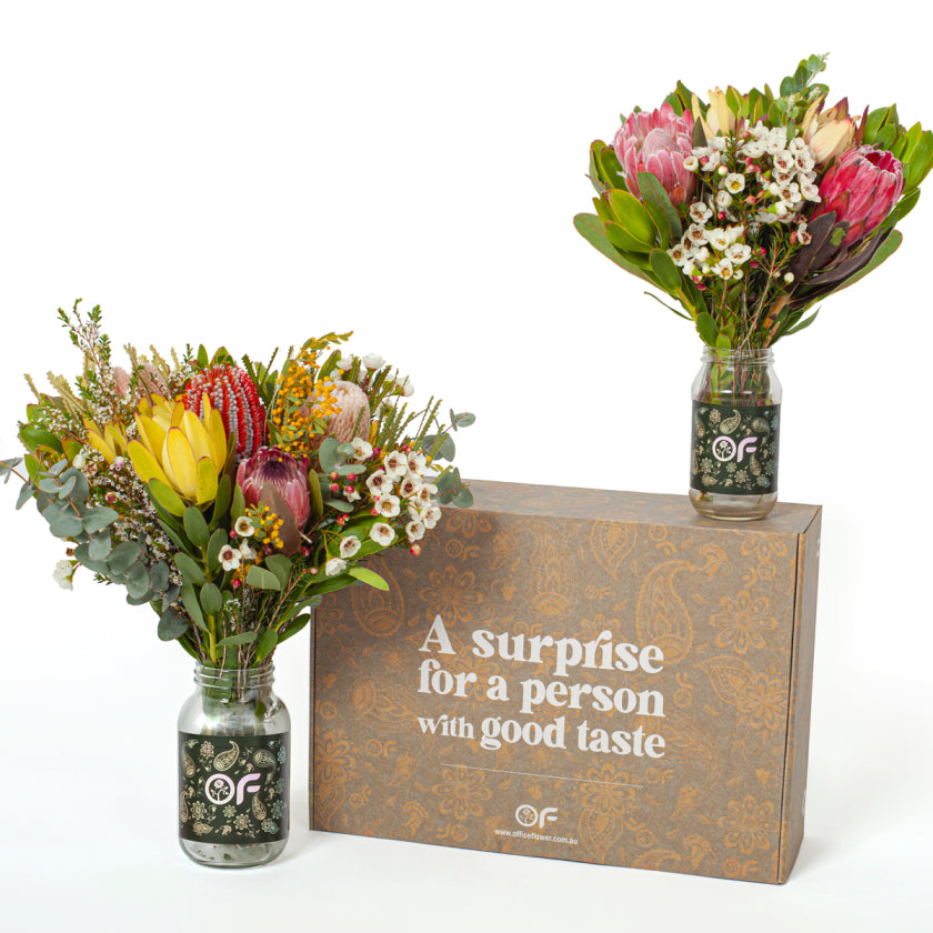 Native Posy gift box – Office Flower